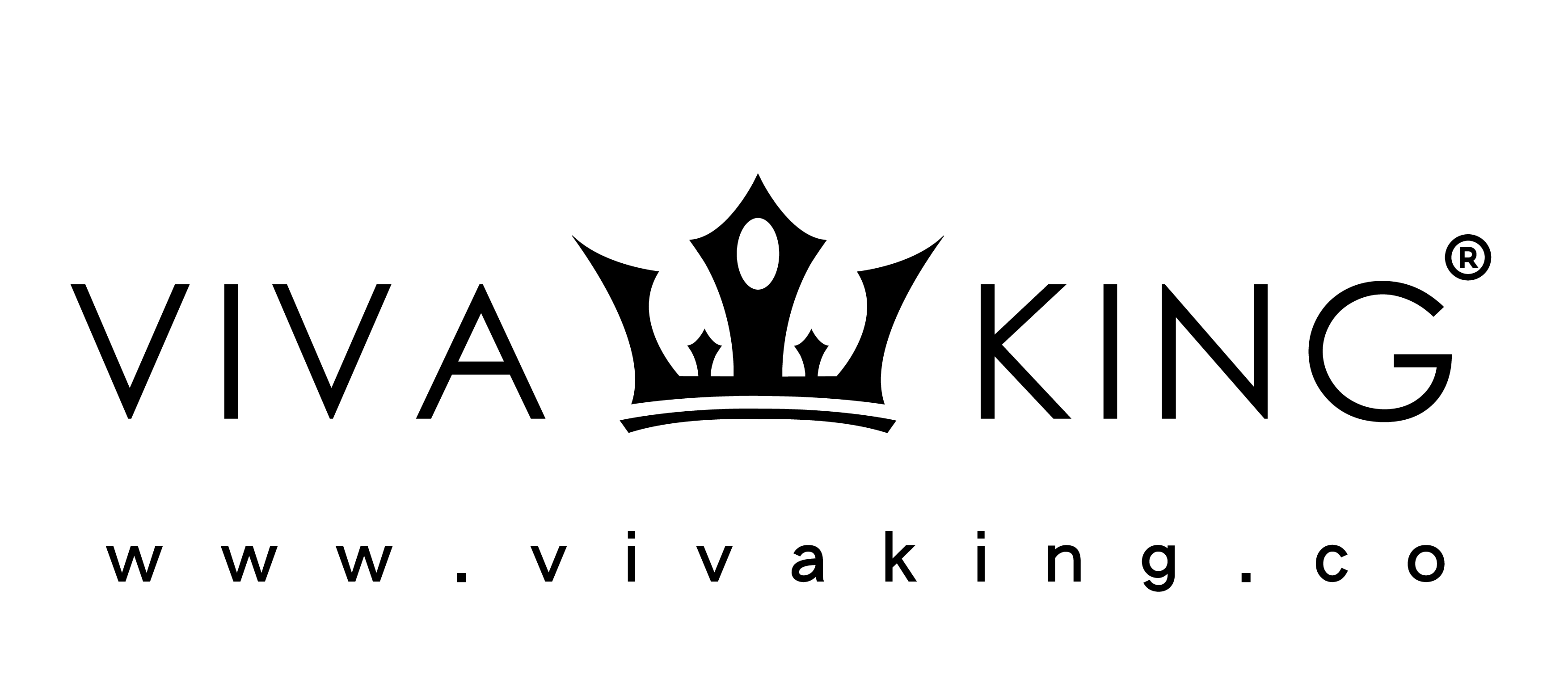 VIVA KING — Bio Site