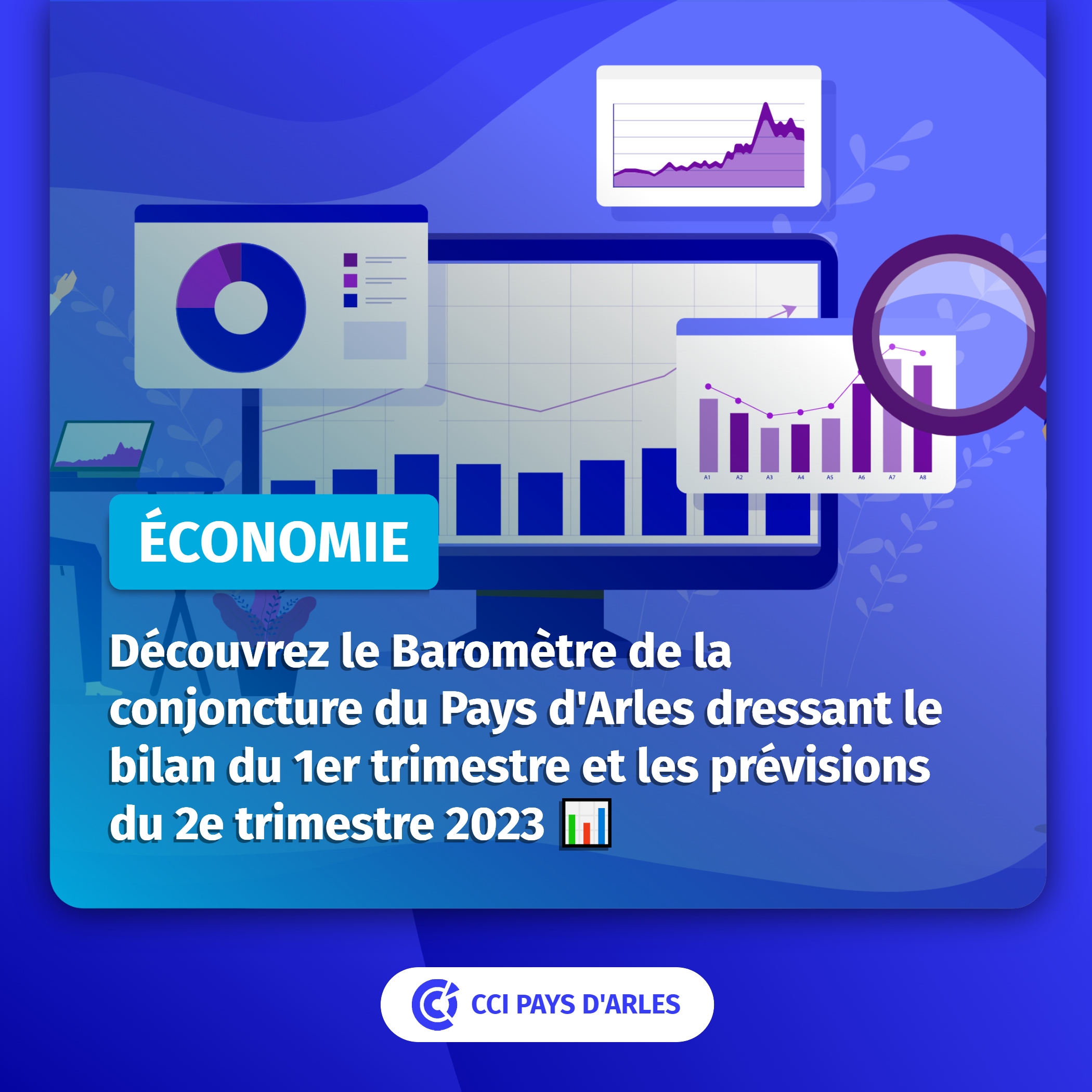 CCI Pays d'Arles — Bio Site