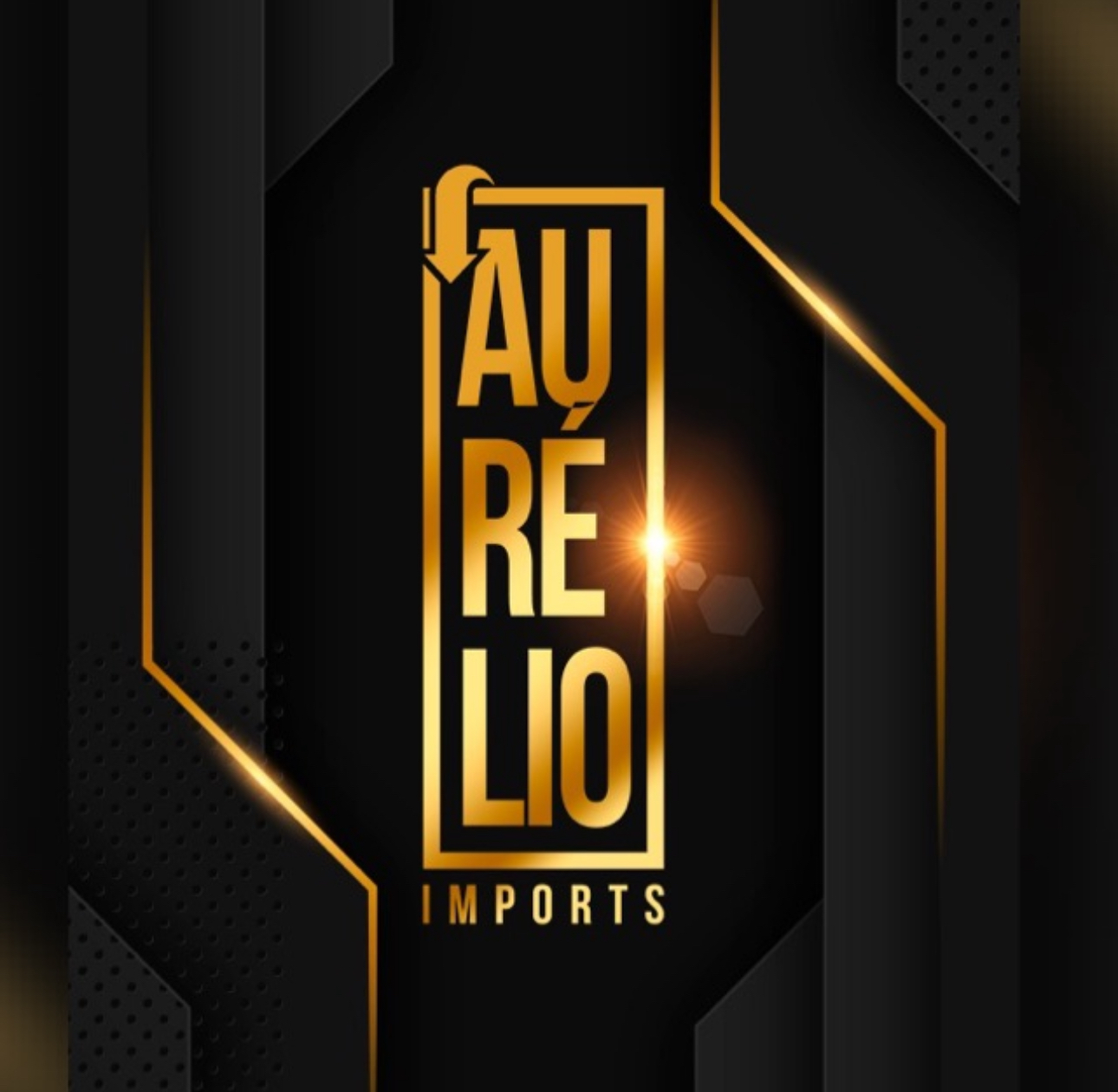 Aurélio Imports — Bio Site