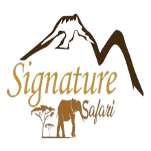 Signature Safari