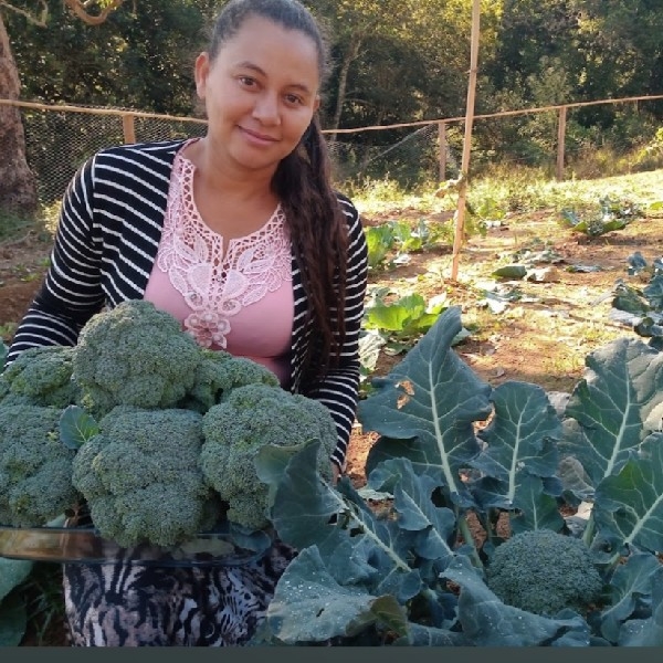 Ivone Lima — Bio Site