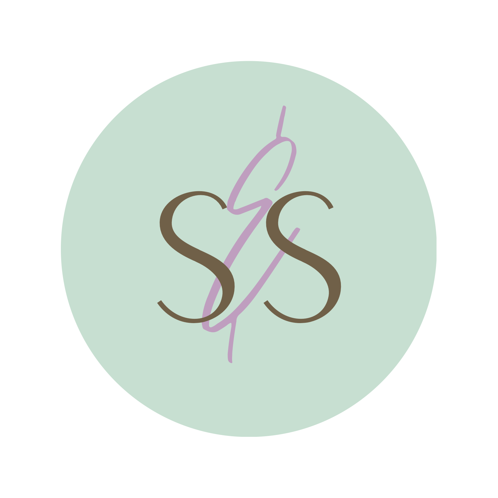 Sediment & Sentiment — Bio Site