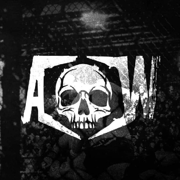 Arena Wars Fighting Series