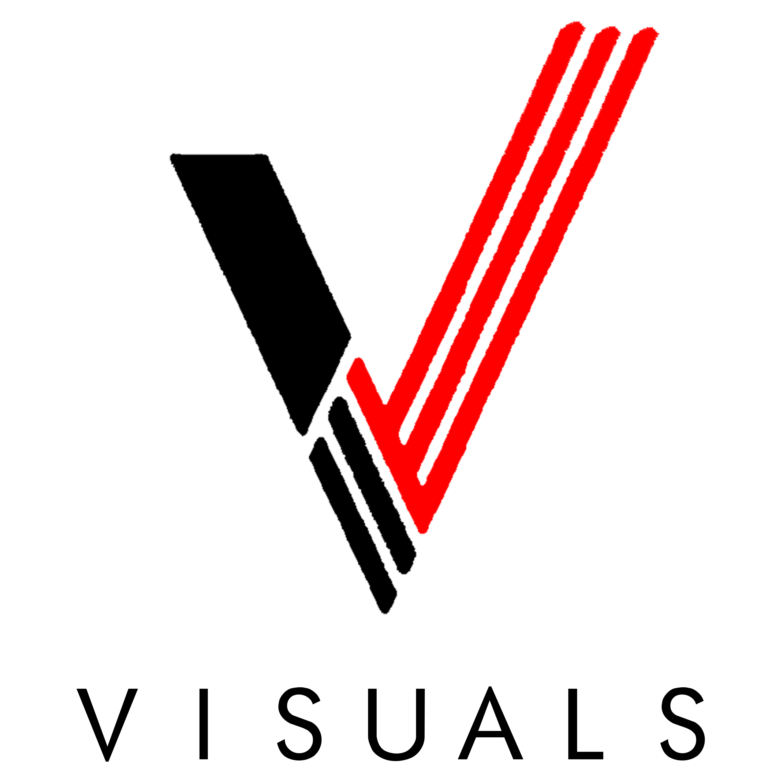 Verified Visuals — Bio Site