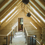 And North — Bio Site