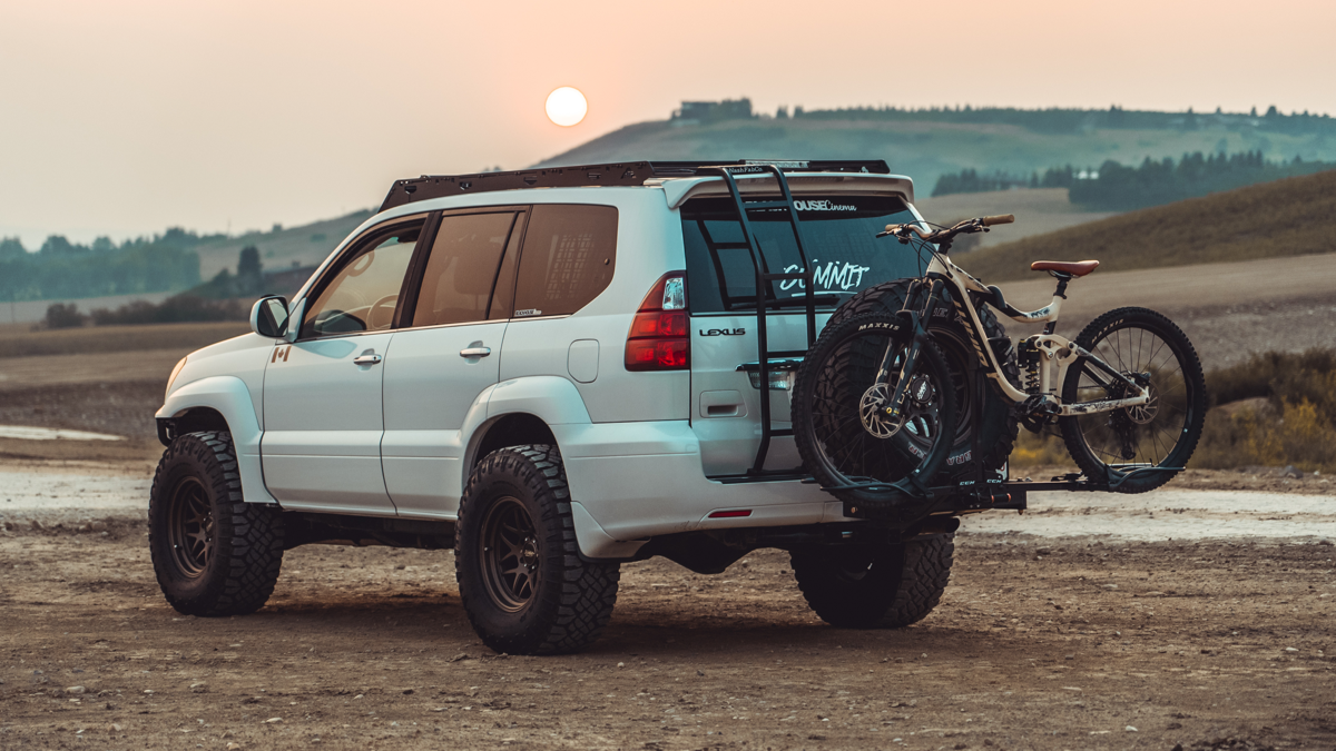 Logan King — Bio Site